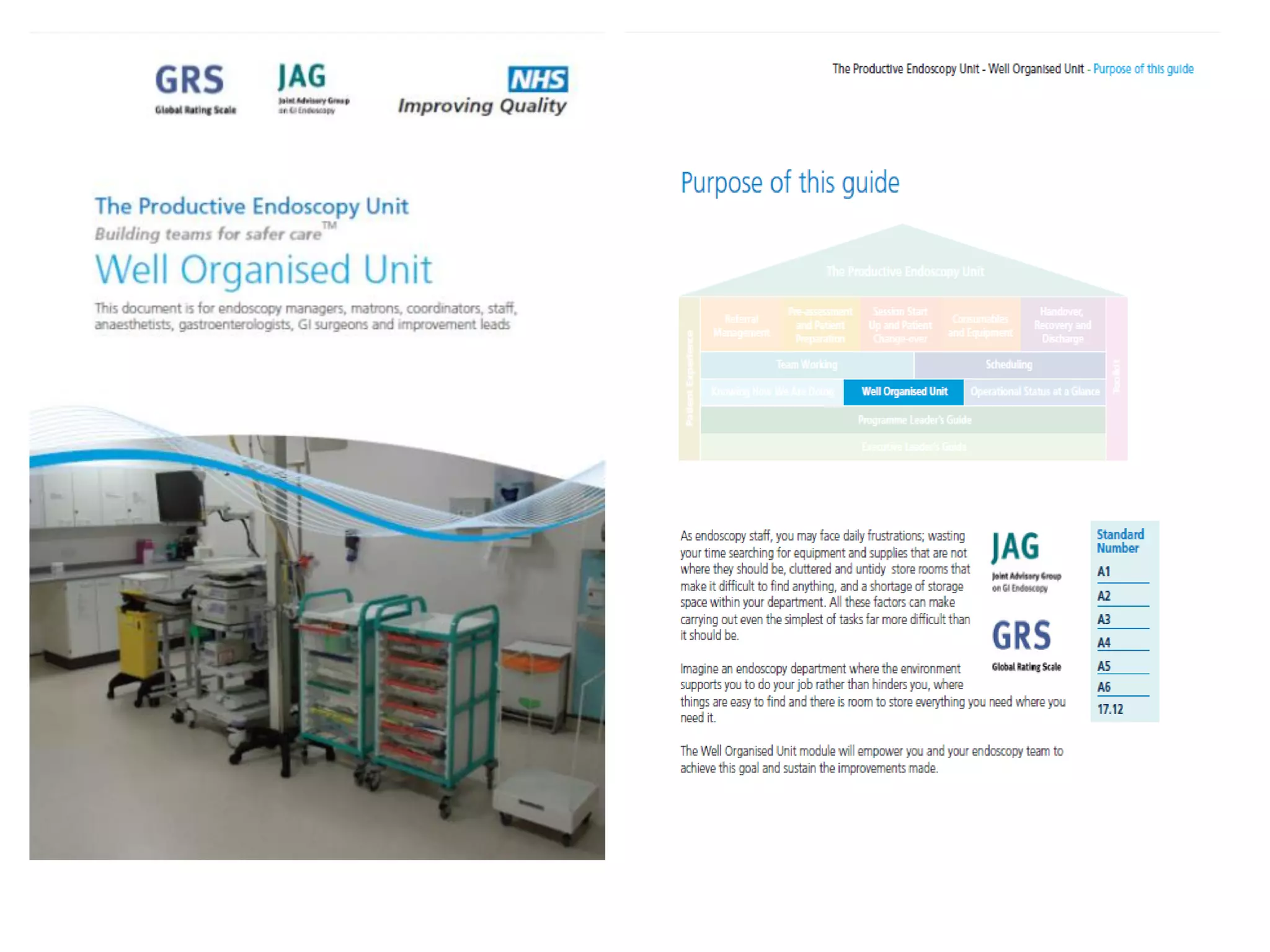 Fiona Thow - productive endoscopy service improvement toolkit | PDF