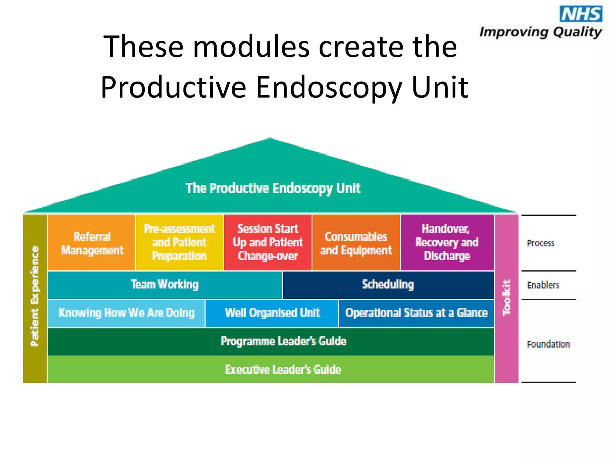 Fiona Thow - productive endoscopy service improvement toolkit | PDF