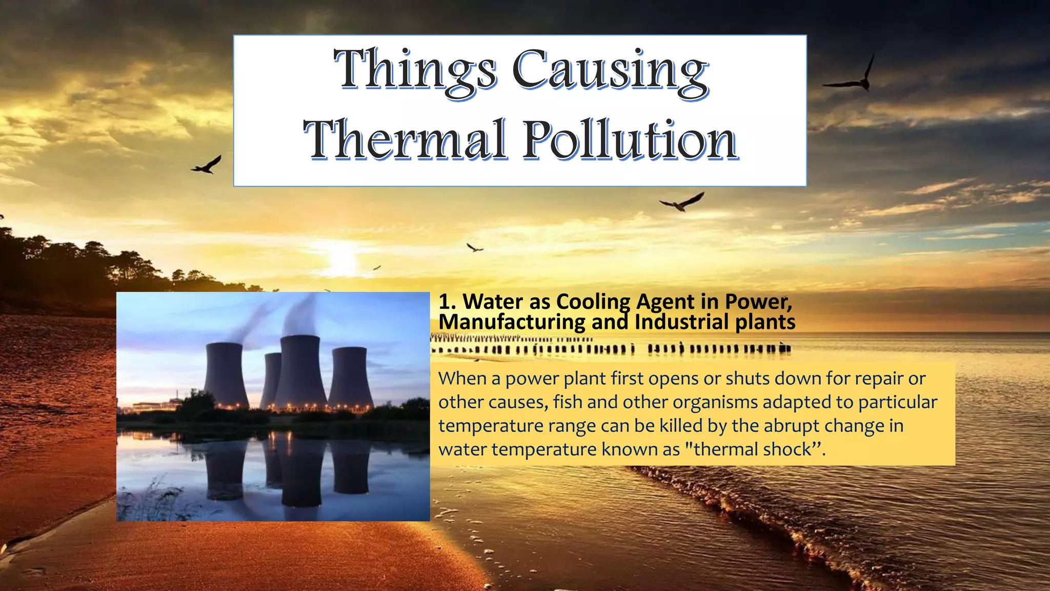 Thermal Pollution | PPTX