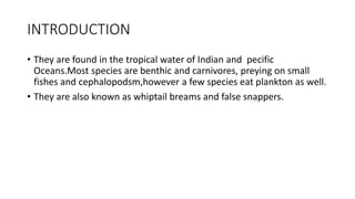 Threadfin bream and pomfret | PPTX