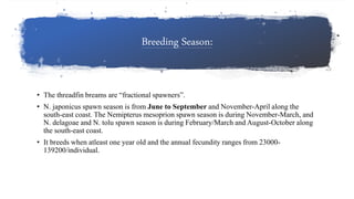 Threadfin bream and pomfret | PPTX