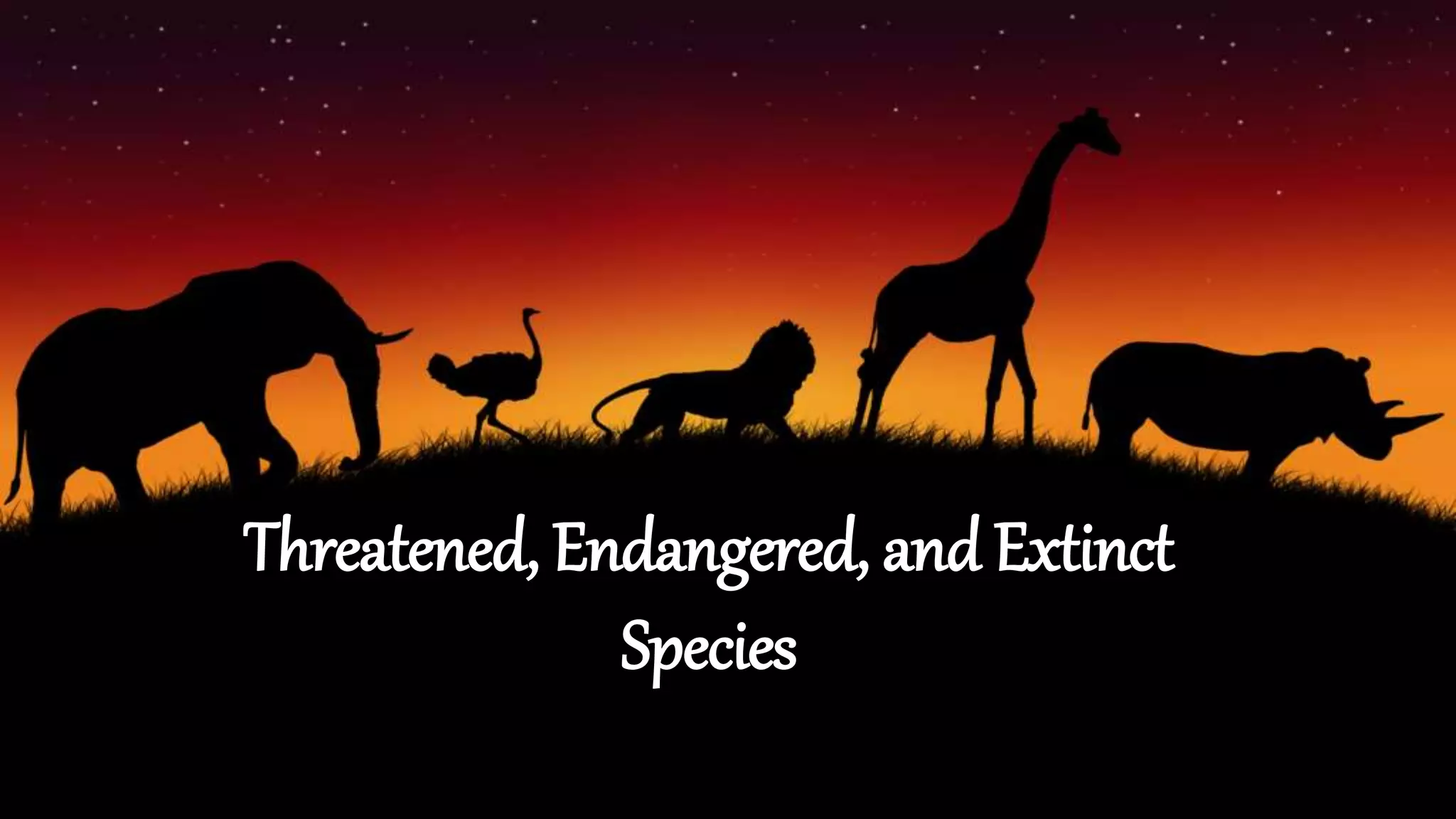 threatened-endangered-and-extinct (1).pptx