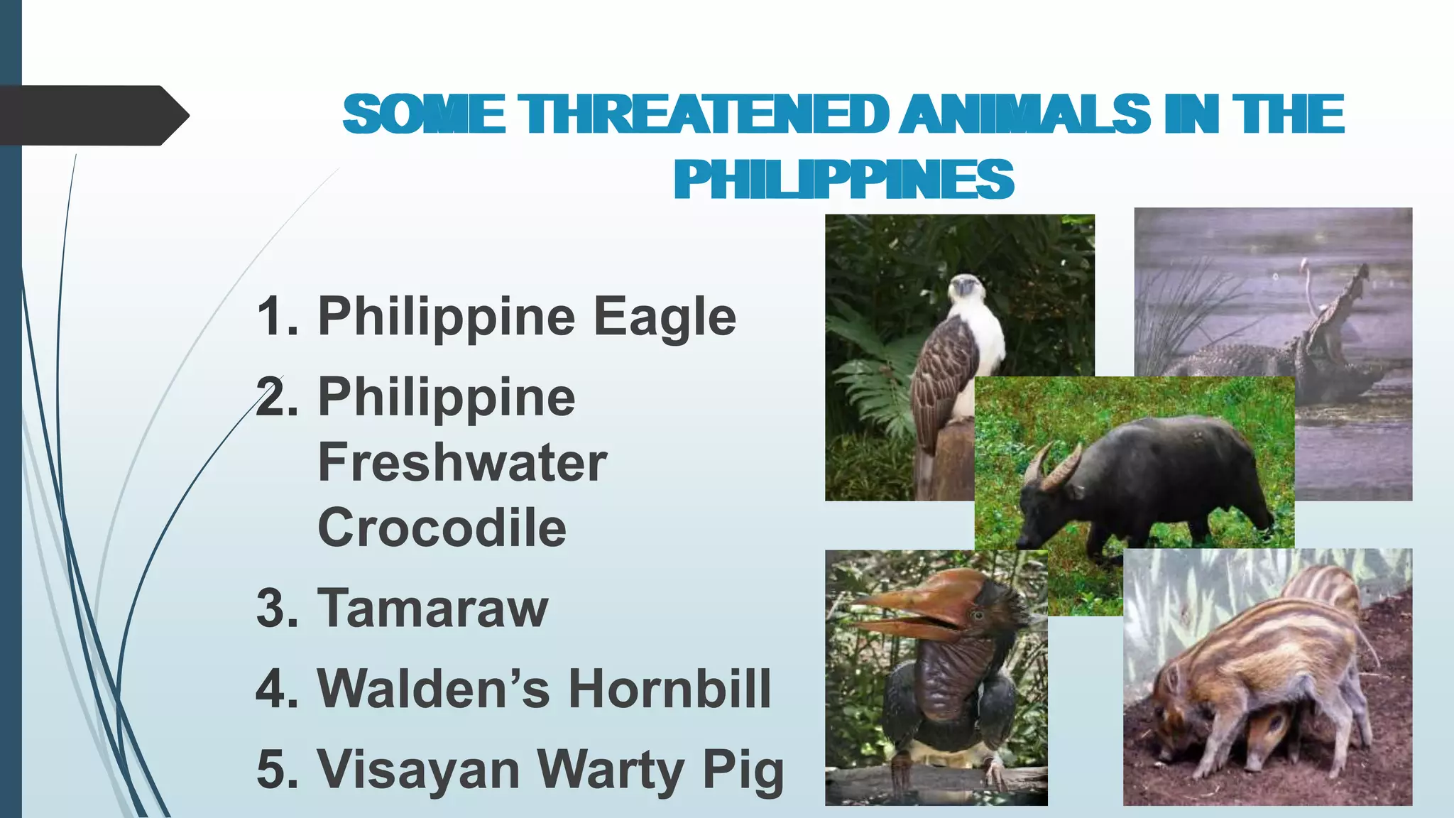 threatened-endangered-and-extinct (1).pptx