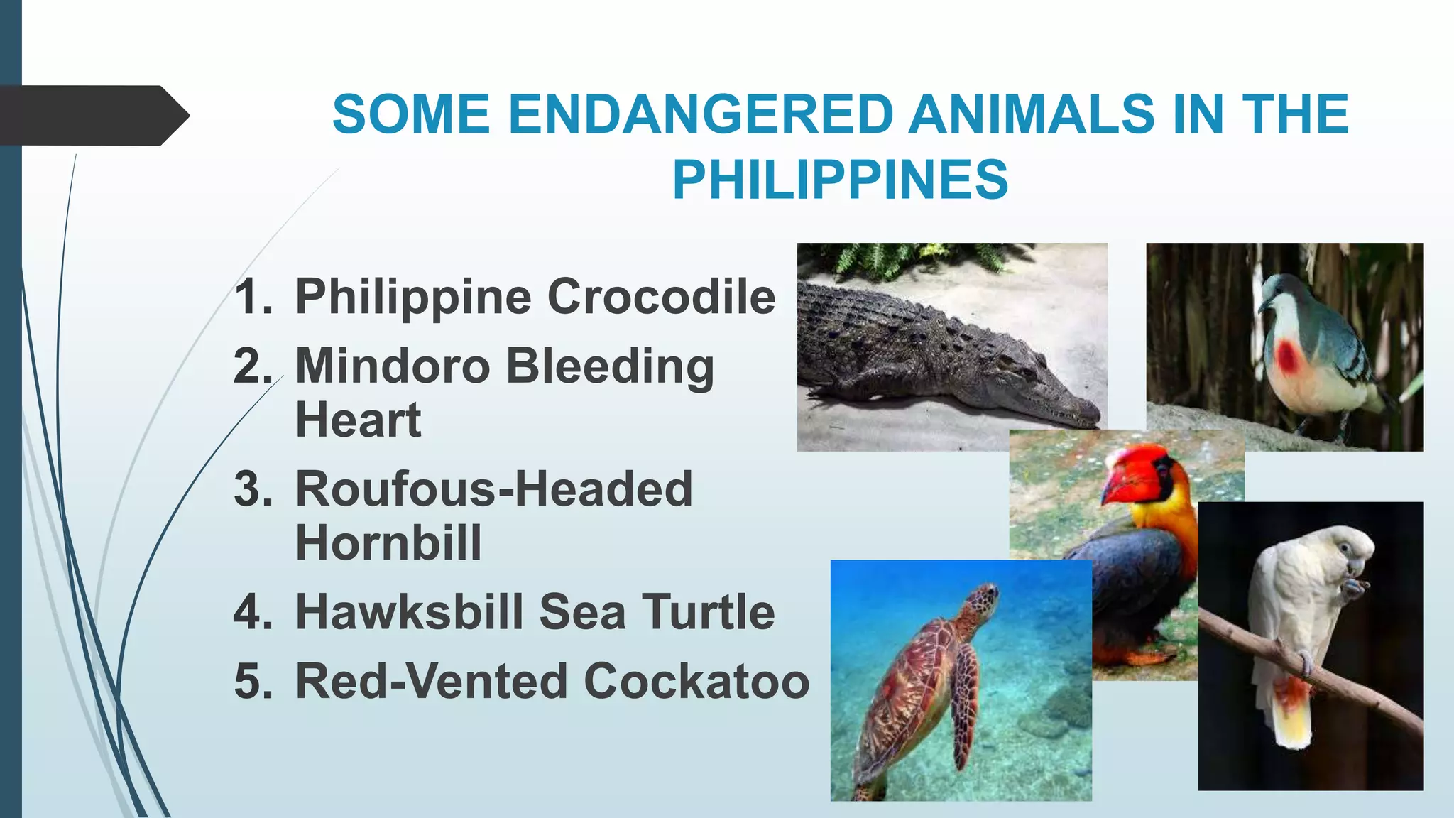 threatened-endangered-and-extinct (1).pptx
