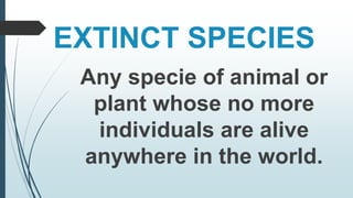 threatened-endangered-and-extinct (1).pptx