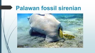 threatened-endangered-and-extinct (1).pptx
