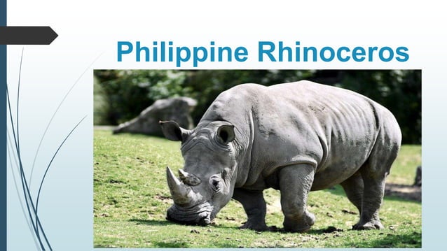 threatened-endangered-and-extinct (1).pptx