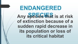 threatened-endangered-and-extinct (1).pptx