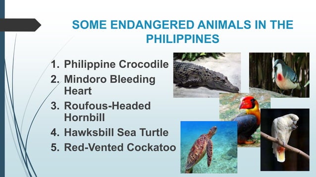 threatened-endangered-and-extinct (1).pptx