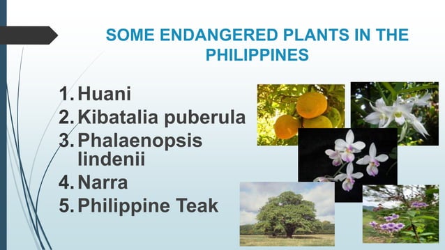 threatened-endangered-and-extinct (1).pptx