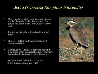 Threatened birds of_india | PPT