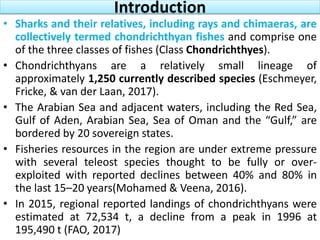 Threatned Sharks Rays and Chaimera along Arabian sea By B.pptx