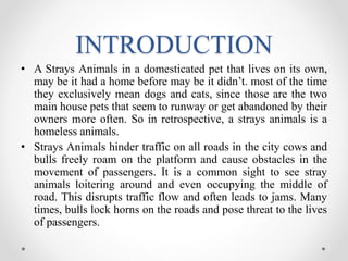 Threat of strays Animals to the society | PPT