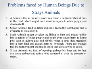 Threat of strays Animals to the society | PPT