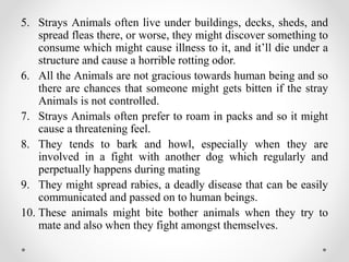Threat of strays Animals to the society | PPT