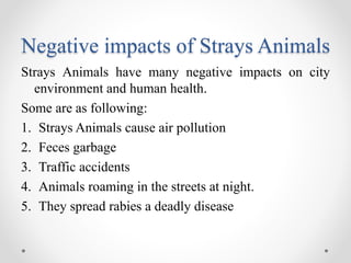 Threat of strays Animals to the society | PPT