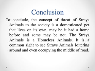 Threat of strays Animals to the society | PPT