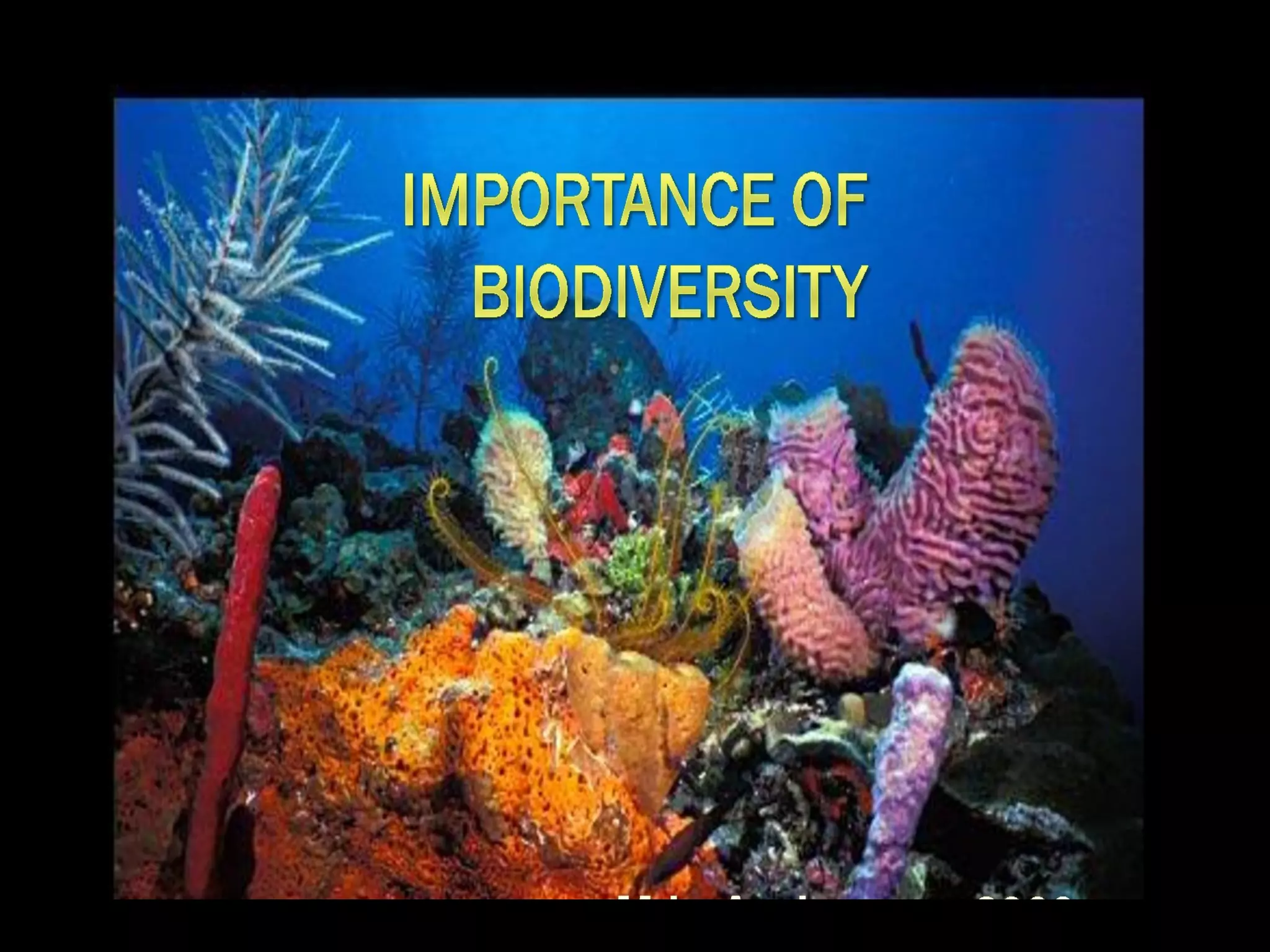 Threats to Biodiversity | PPT