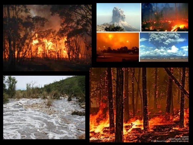 Threats to Biodiversity | PPT