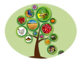 Threats to agrobiodiversity (Agricultural Biodiversity) | PPTX