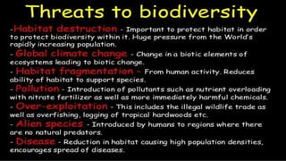 Threats to biodiversity | PPTX
