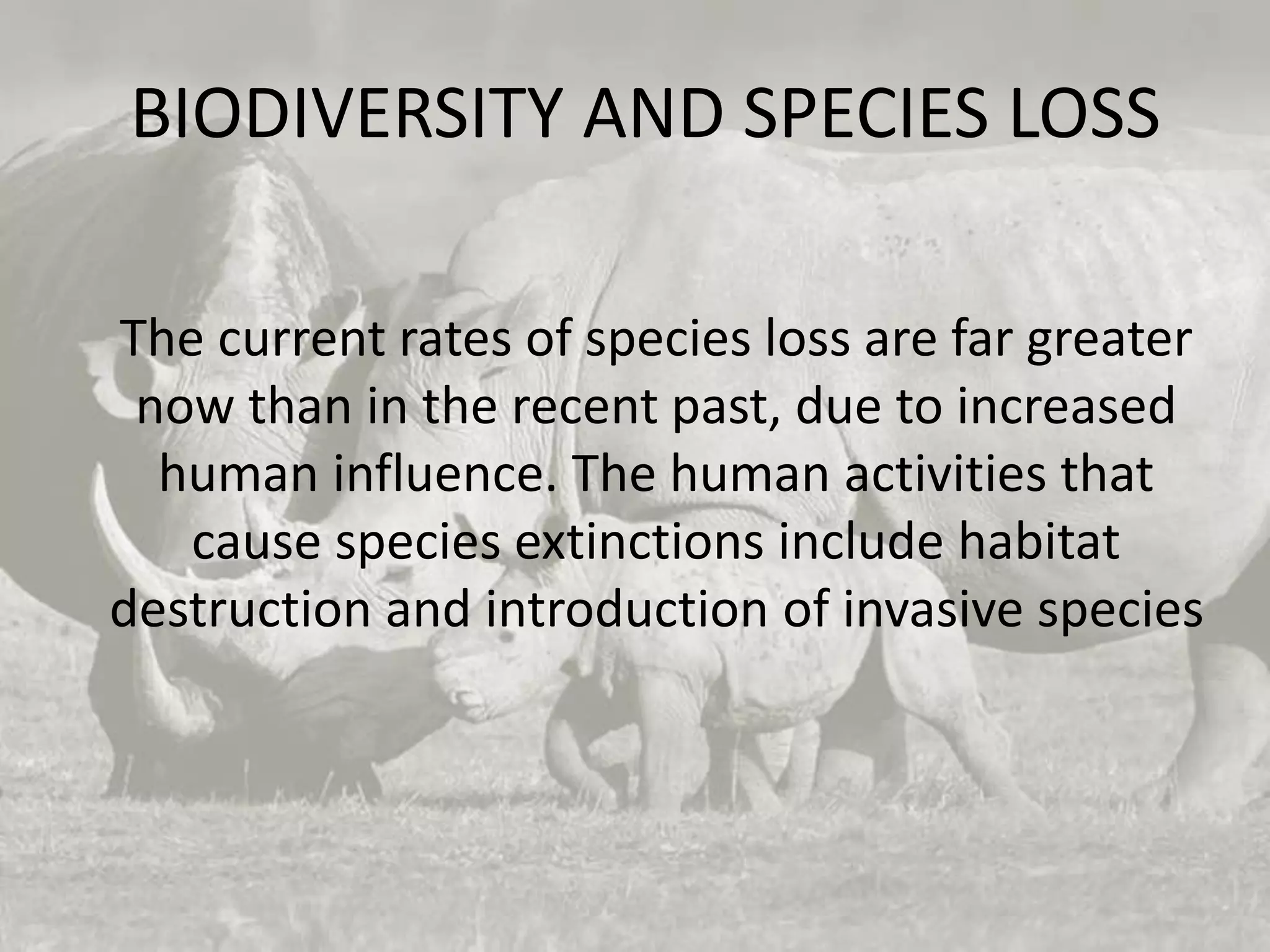 Threats to biodiversity | PPT