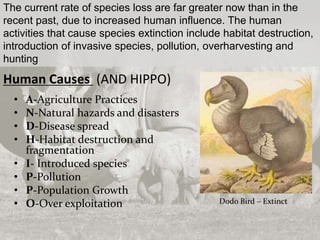 Threats to biodiversity | PPT