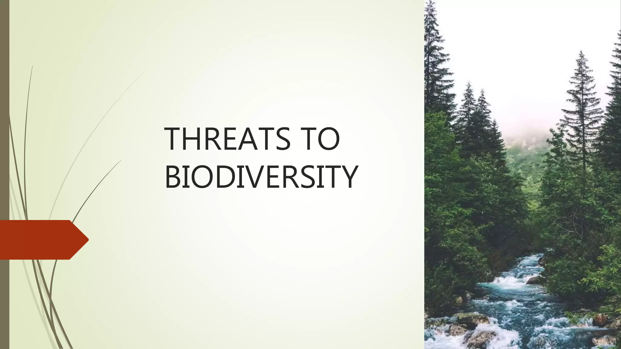 Threats to biodiversity | PPTX