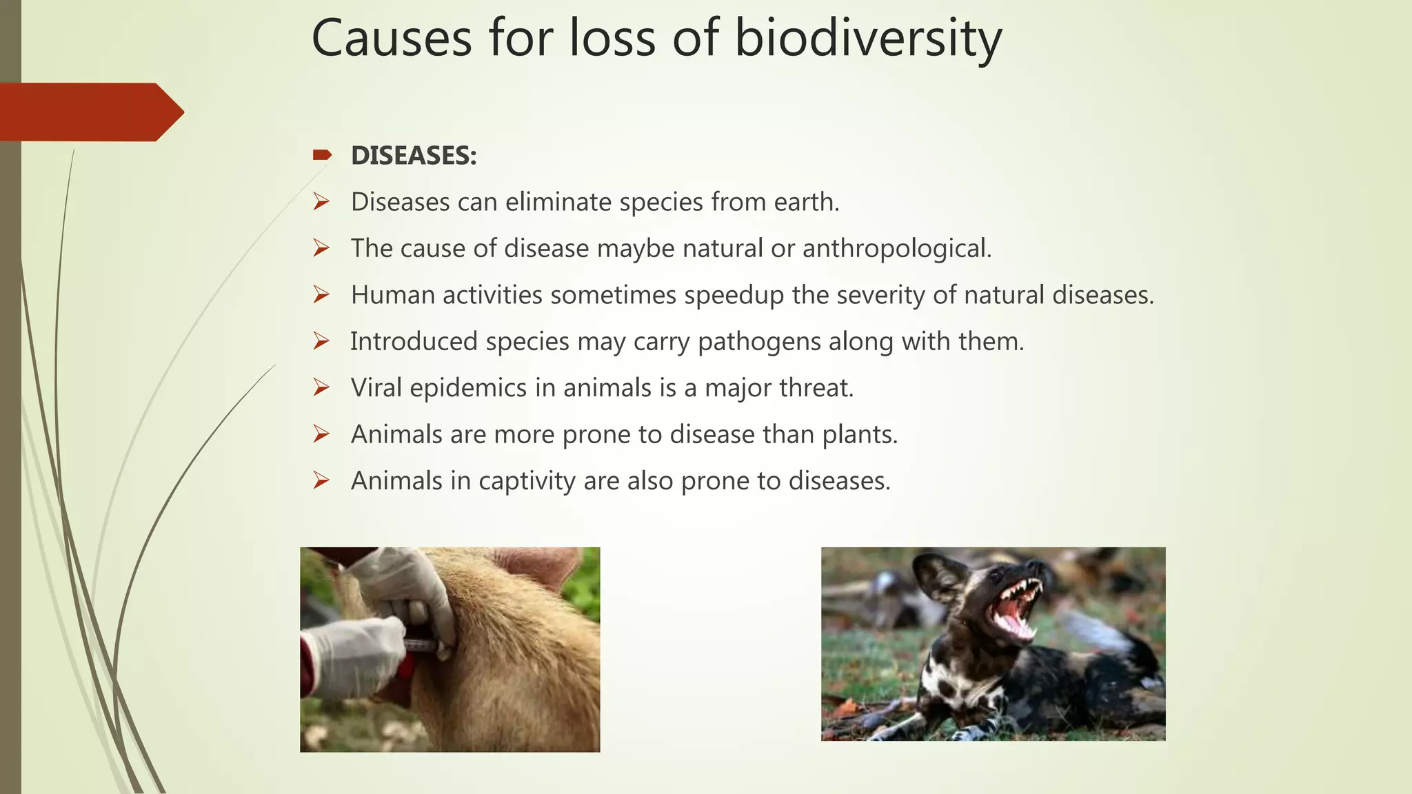 Threats to biodiversity | PPTX