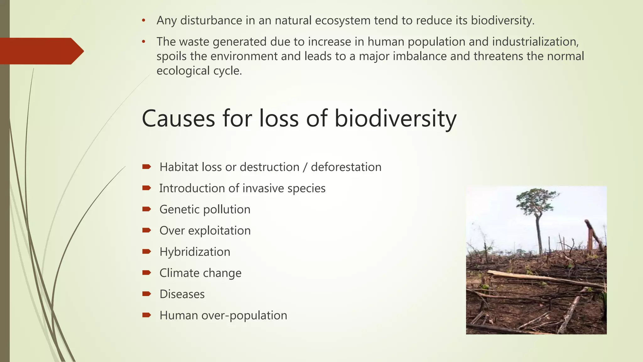 Threats to biodiversity | PPTX | Geography | Science