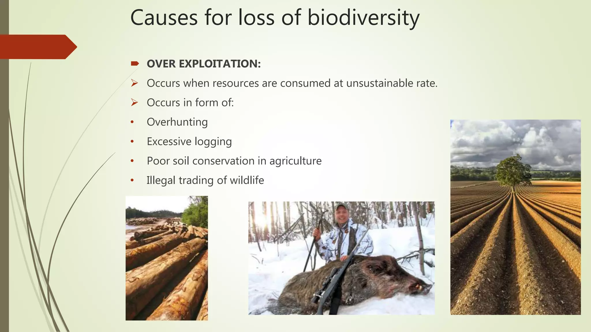 Threats to biodiversity | PPTX