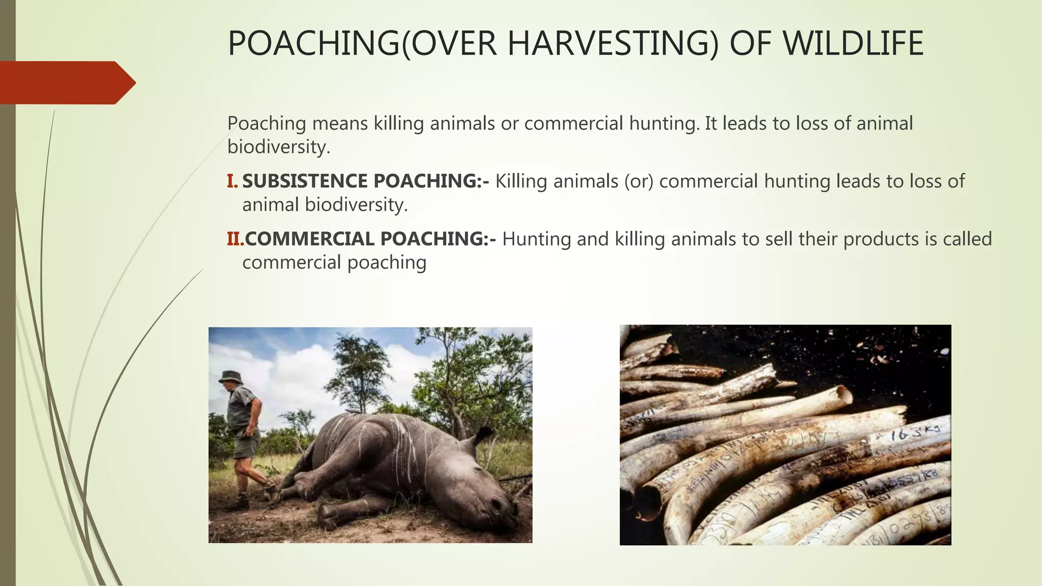 Threats to biodiversity | PPTX | Geography | Science