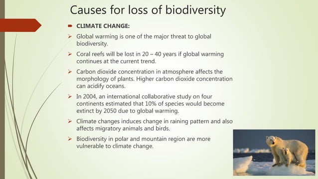 Threats to biodiversity | PPTX | Geography | Science