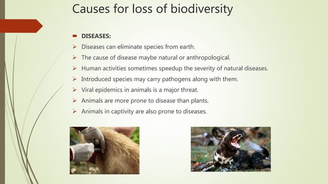 Threats to biodiversity | PPTX | Geography | Science