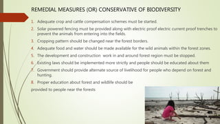 Threats to biodiversity | PPTX