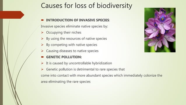 Threats to biodiversity | PPTX | Geography | Science