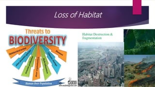 Threats to Biodiversity.pptx