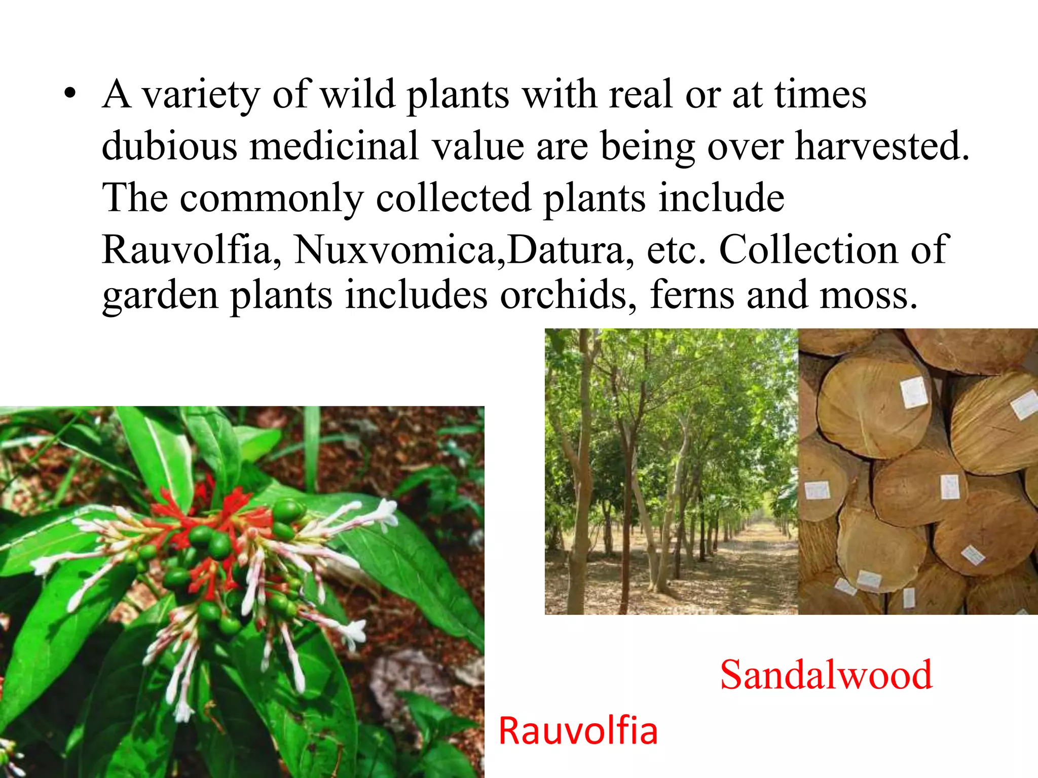 Threats to biodiversity | PPTX