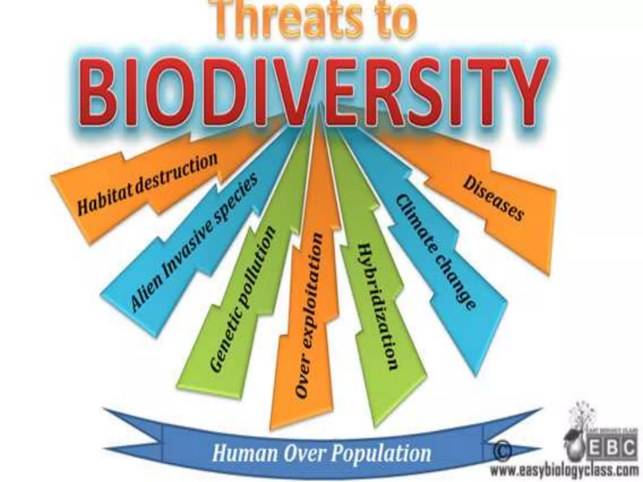 Threats to biodiversity | PPTX