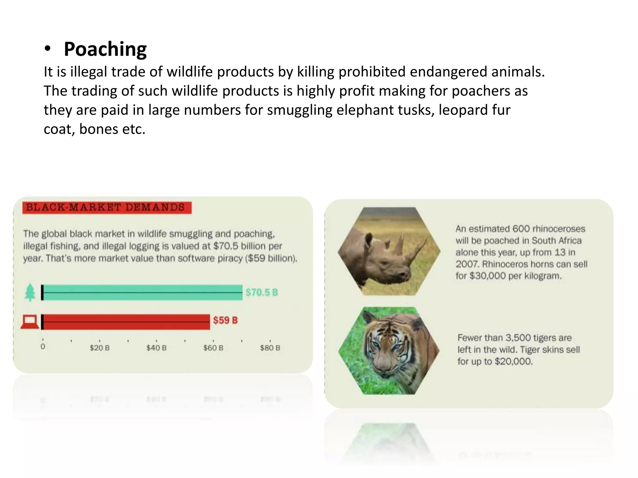 Threats to biodiversity and endangered animals | PPTX