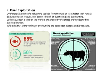 Threats to biodiversity and endangered animals | PPTX