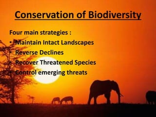 Threats to biodiversity and endangered animals | PPTX