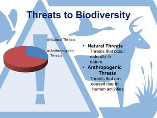 Threats to biodiversity and endangered animals | PPTX