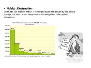 Threats to biodiversity and endangered animals | PPTX
