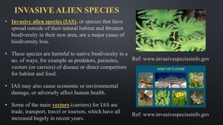 Threats to bioiversity | PPT