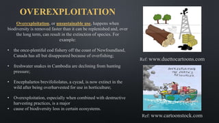 Threats to bioiversity | PPT