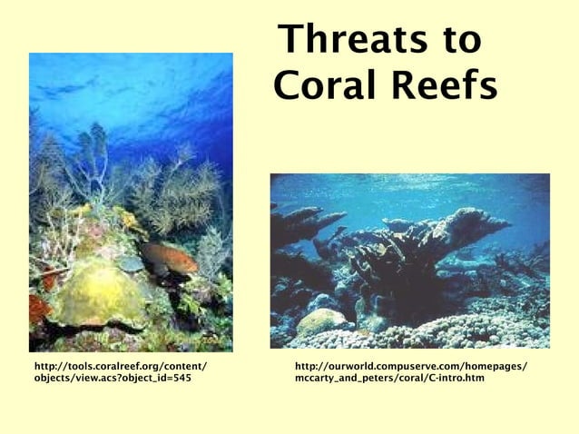 Threats to Coral Reefs | PPT | Geography | Science