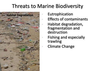 Threats to marine biodiversity | PPTX