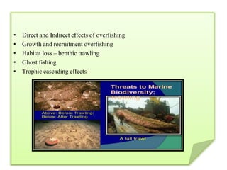 Threats to marine biodiversity | PPTX