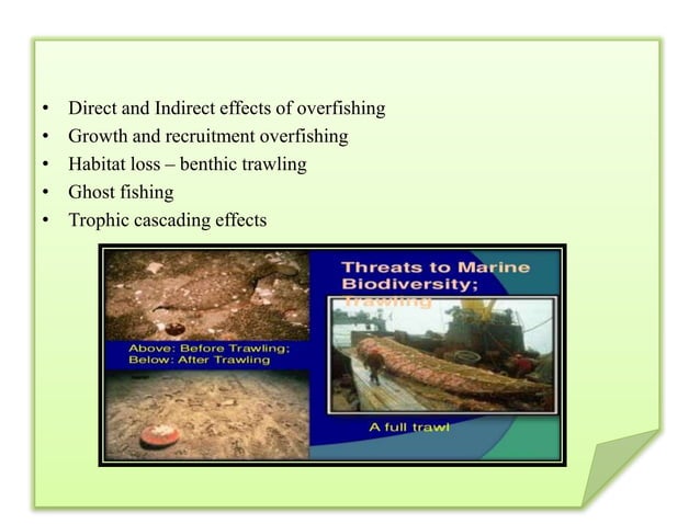 Threats to marine biodiversity | PPTX